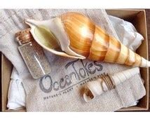 Image result for Shell Shape Pipe