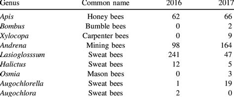 Image result for Pollinating Types of Bees