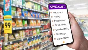 Image result for Store Audit Checklist Excel