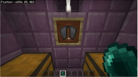 Image result for Elytra Guide