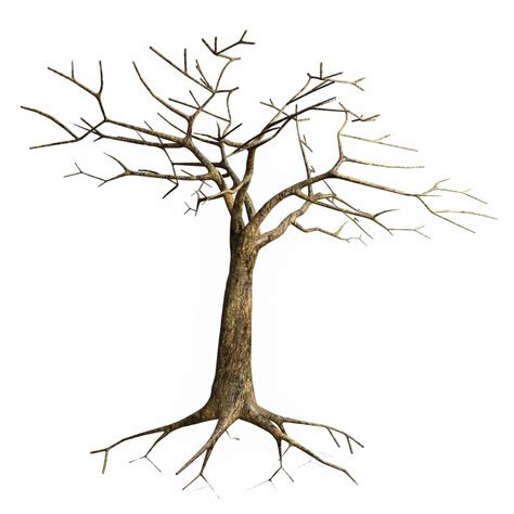 Image result for Tree Image TP Draw