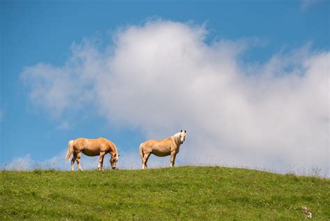 Image result for Prepper Barn
