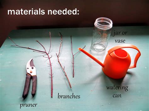 Image result for Spring Experiment