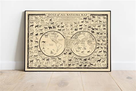 Image result for Normal Map Dog