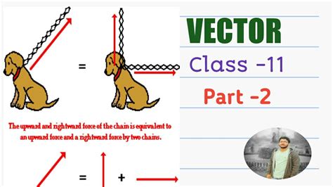 Image result for Vector Class 11 Signs