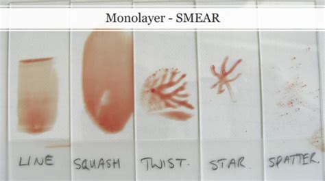 Image result for Smear Speed Tutorials