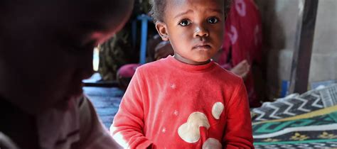 Image result for Python Attack Und Kids