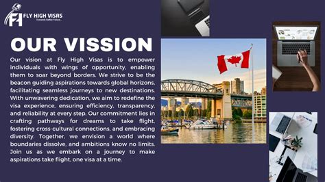 Image result for Fly Vision Stimulus