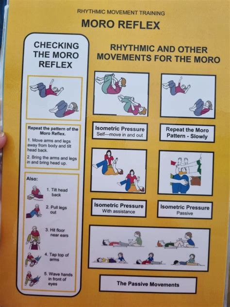 Image result for Primitive Reflex Integration Exercises