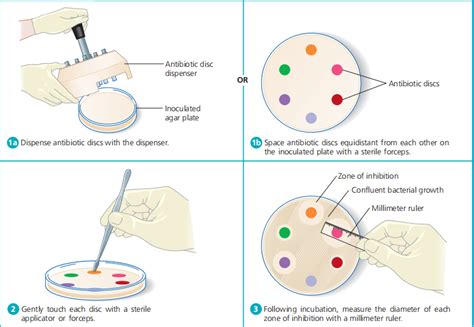 Image result for Disc Diffusion Method PDF