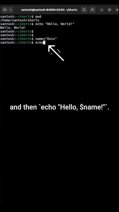 Image result for Echo Unix