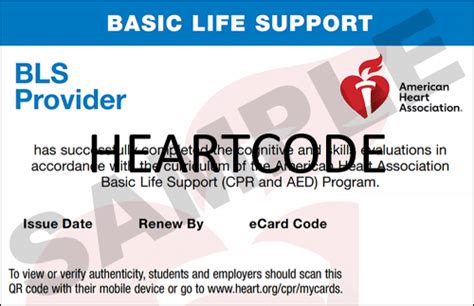 Image result for HeartCode BLS Instructors Course