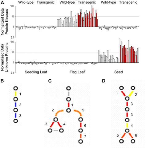Image result for Microarray Gene Expression