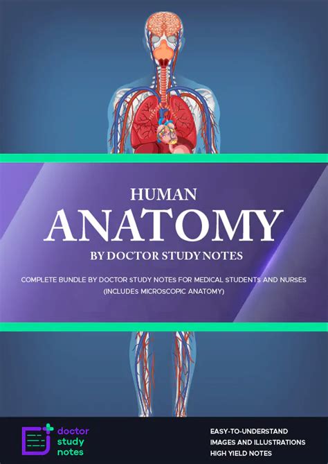 Image result for Doctor Study Notes