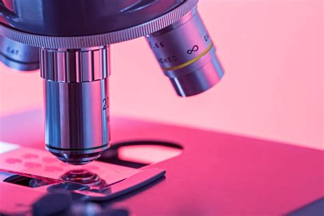 Image result for Most Powerful Microscope