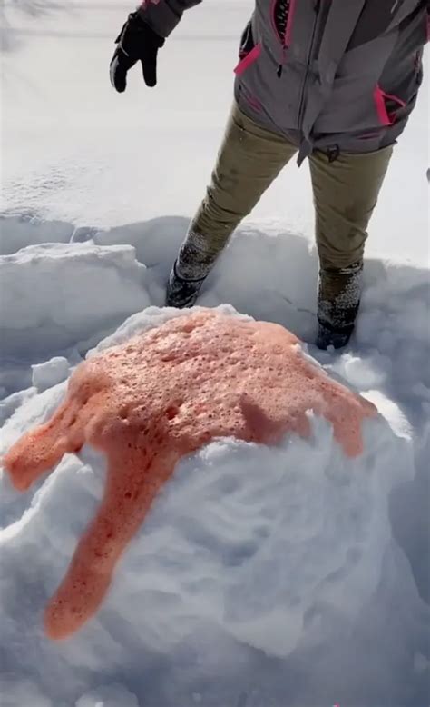 Image result for Snow Volcano