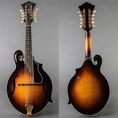 Image result for 10 String Mandolin