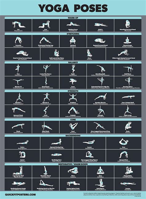 Image result for Exercise Positions