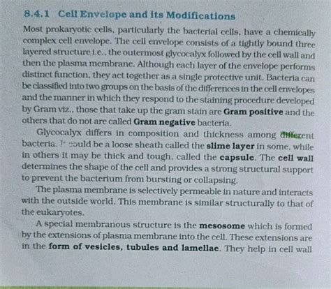 Image result for Cell Envelope and Its Modifications