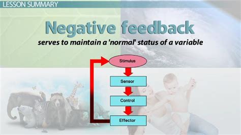 Image result for Feedback Loop Meaning