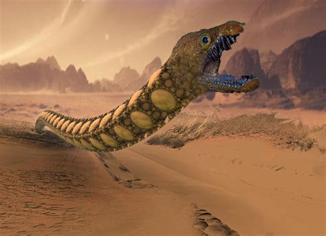 Image result for Sand Worm deviantART