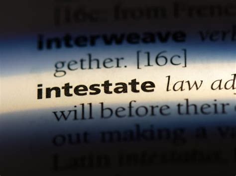 Image result for Inteste