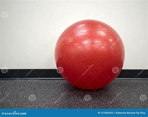 Image result for Octavia Red Exercise Ball