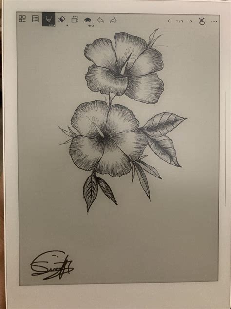 Image result for SuperNote Drawing