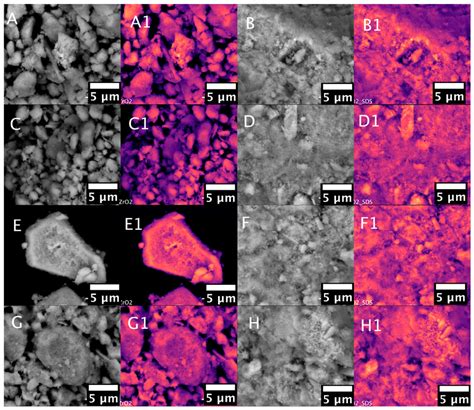 Image result for PD ZrO2