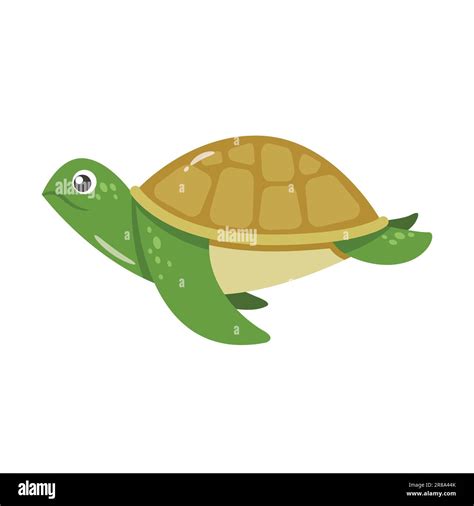 Image result for Turtle Cartoon