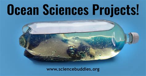 Image result for Marine Science Projects