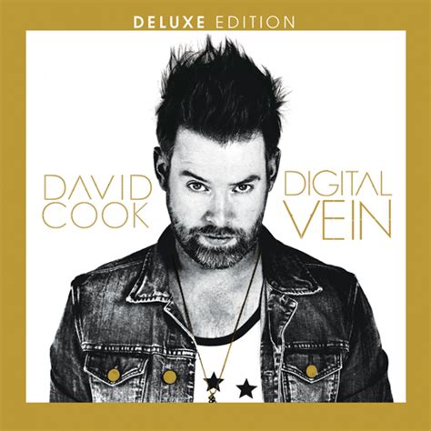 Image result for David Cook CD