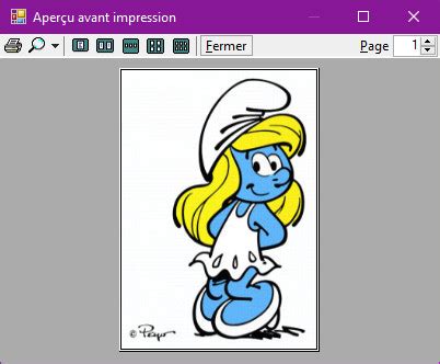 Image result for Printing Visual Basic