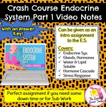 Image result for Endocrine System Crash Course Notes