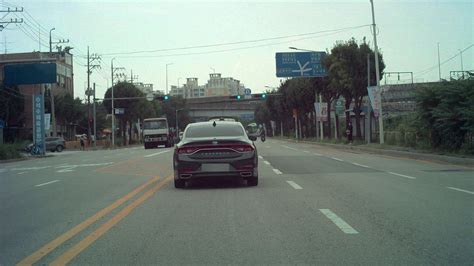 Image result for Python Yolo Model Photo