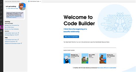 Image result for Salesforce Code
