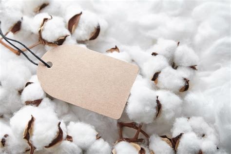 Image result for Cotton File Tag