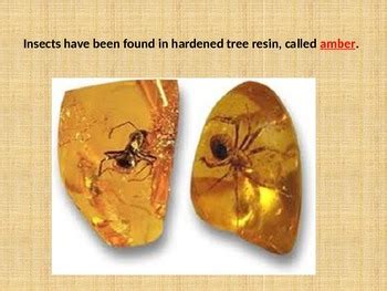 Image result for Science Notes for 3rd Grade