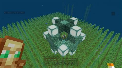 Image result for Complete Conduit Frame Minecraft
