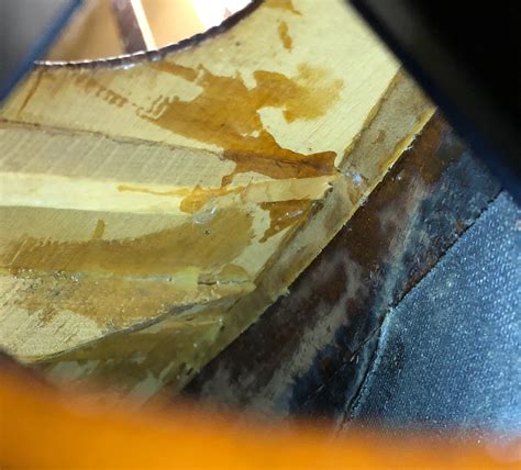 Image result for Round Back Mandolin