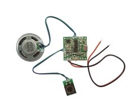 Image result for Using IC-Station Voice Recordable Sound Module