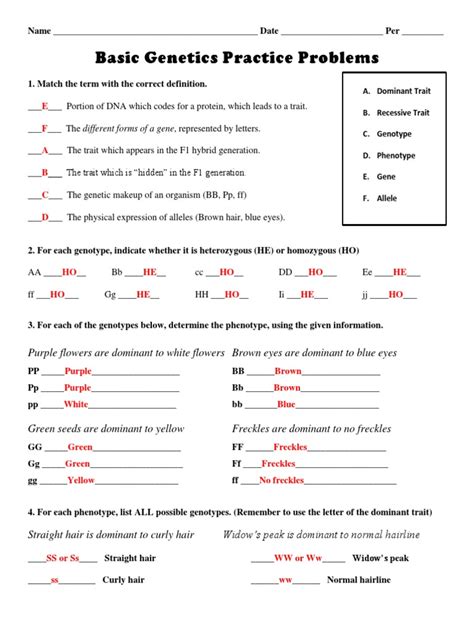 Image result for Genetics Practice Questions