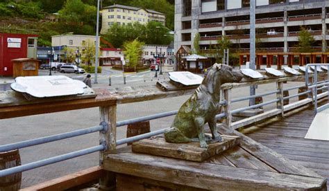 Image result for Patsy Ann