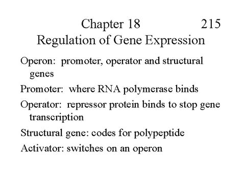 Image result for Gene Expression Promoter Operon