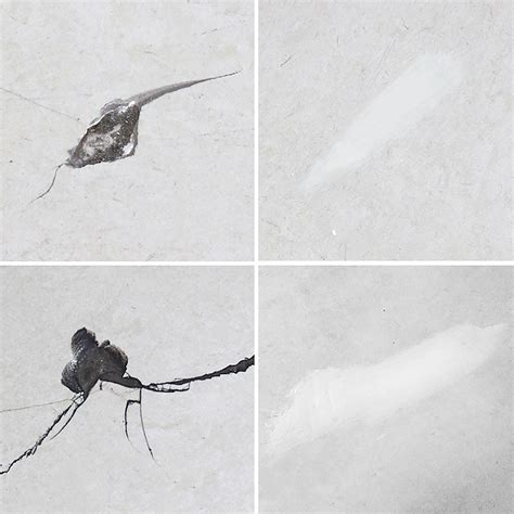 Image result for Ceramic Tile Chip Repair Kit