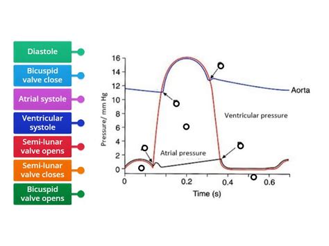 Image result for Cardiac Cycle Graph