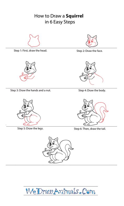 Image result for Squirrel Tutorial