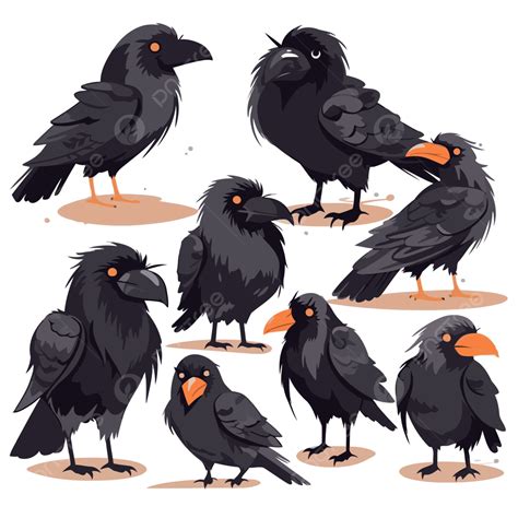 Image result for Different Crows