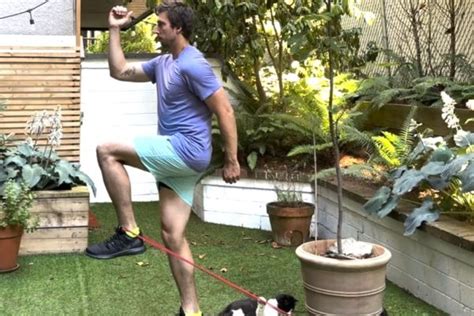 Image result for Dynamic Mobility Stretching