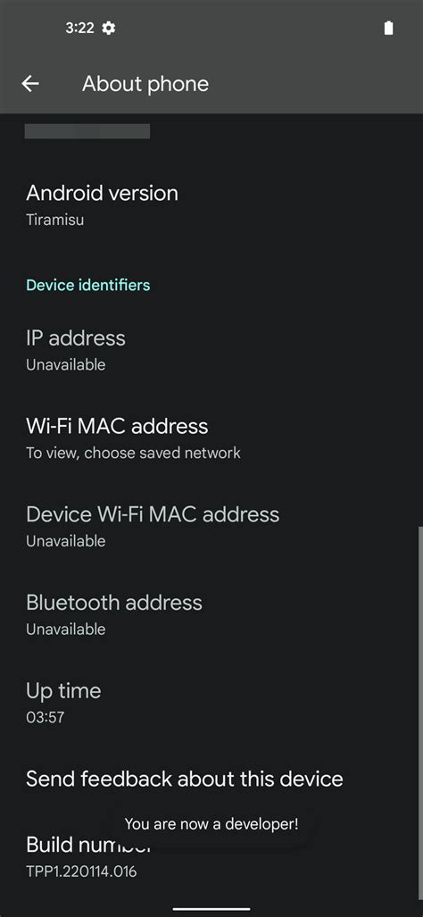 Image result for Android 13 Developer Mode